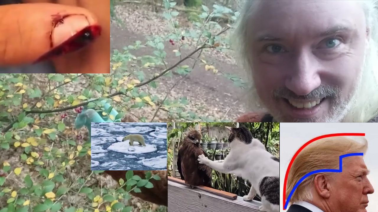 Winning war like a Jeff. Regrown fingers. Electrik body. Pick good ...