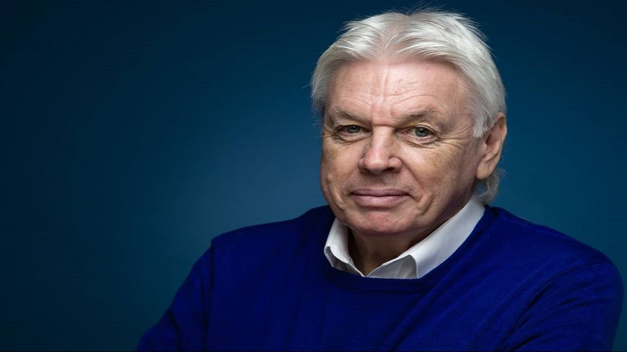 David Icke Talks To Paul Seils :Messages From The Underground ...
