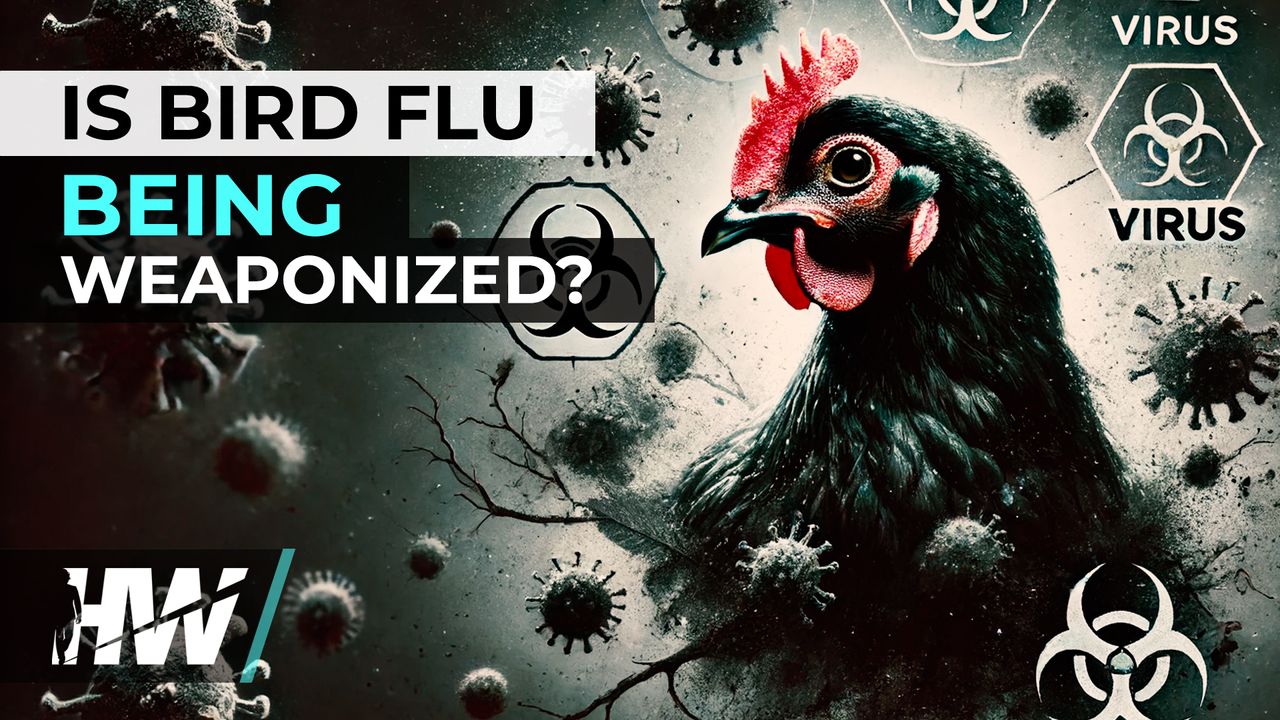 IS BIRD FLU BEING WEAPONIZED - Brighteon.com