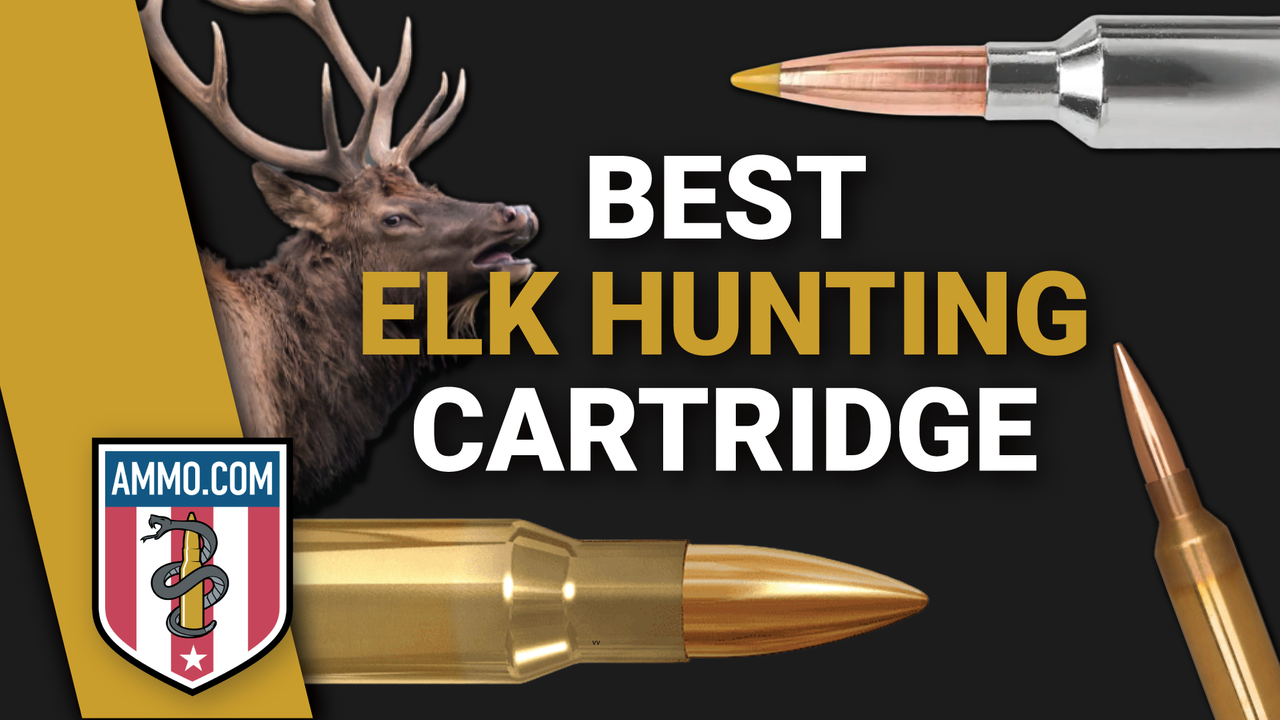 The 8 Best Elk Hunting Cartridges: Bringing Down the Big Bulls ...