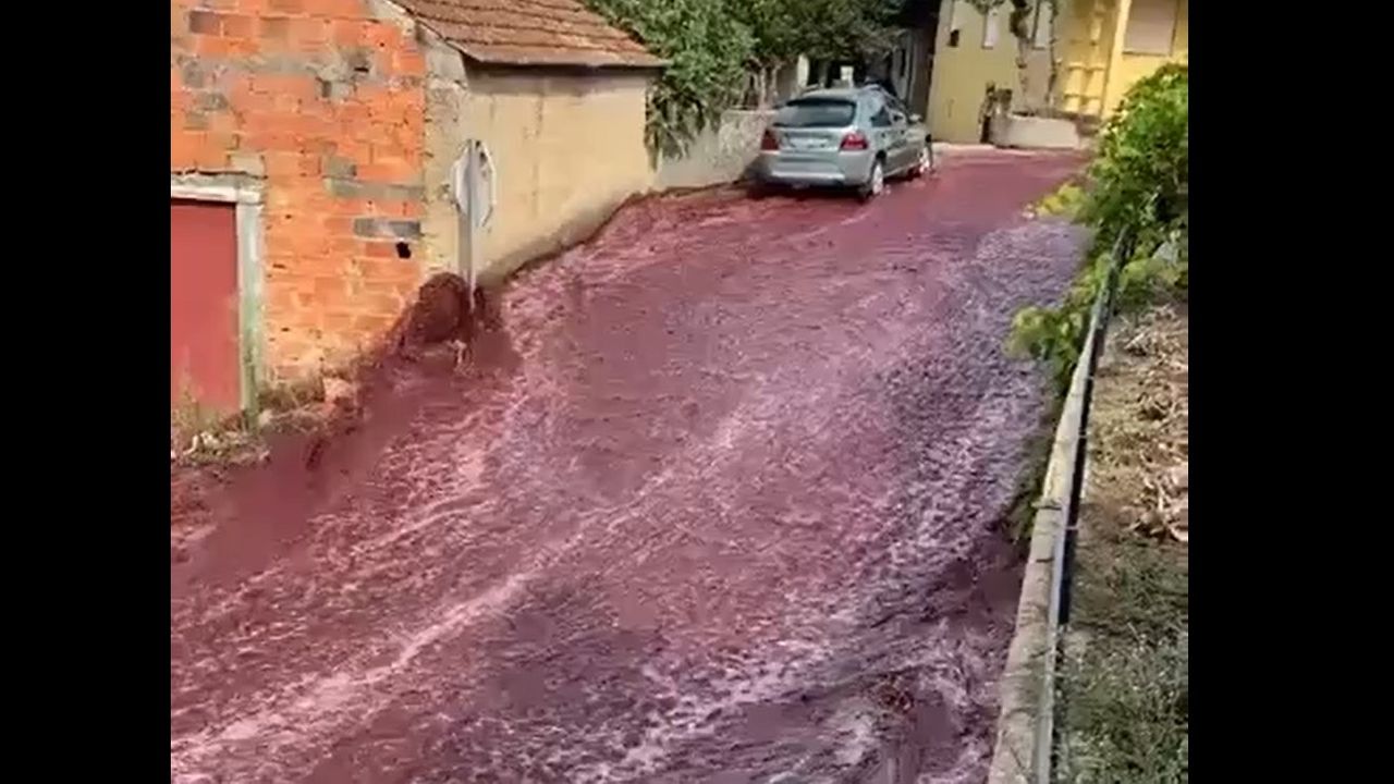 Street Flowing Wine - Portugal’s Levira Distillery Turns the Streets ...