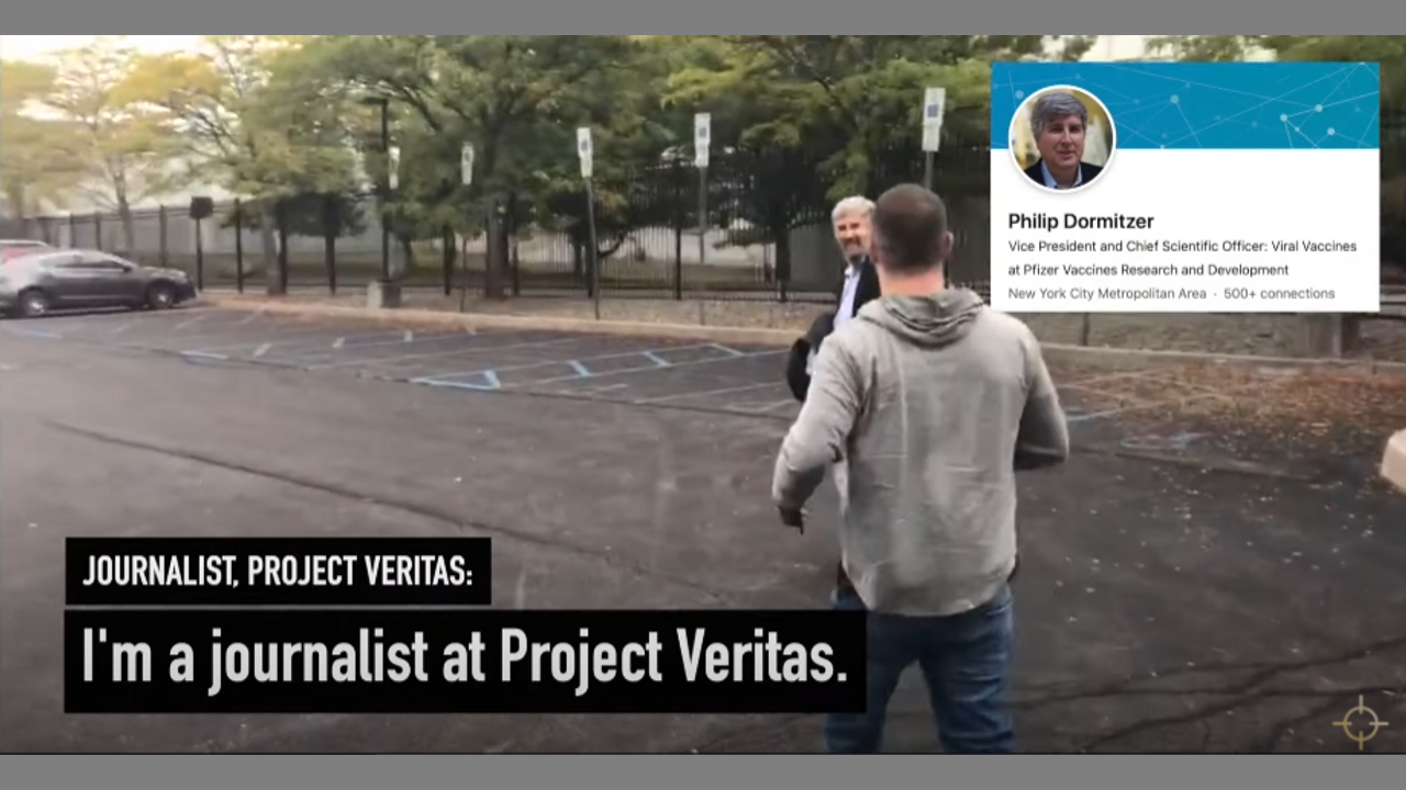 Pfizer's Chief Scientific Officer Philip Dormitzer Questioned by ...