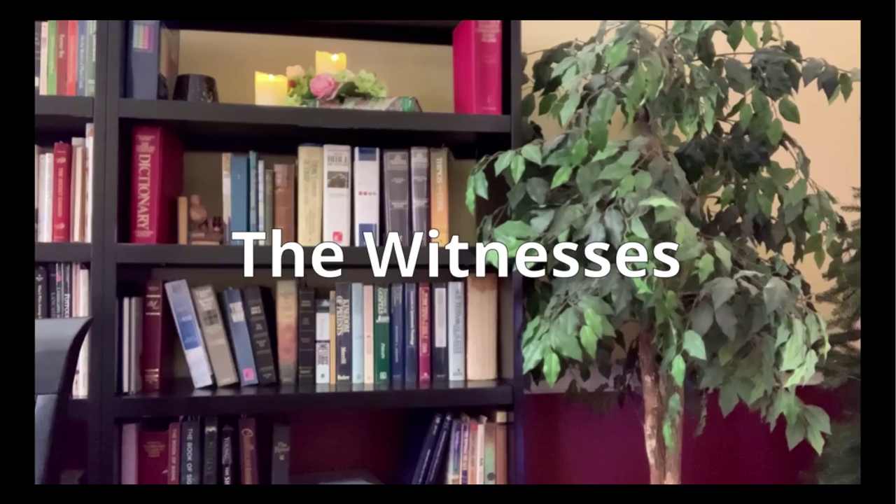 The Life of Jesus Lesson 32 | The Five Witnesses - Brighteon.com