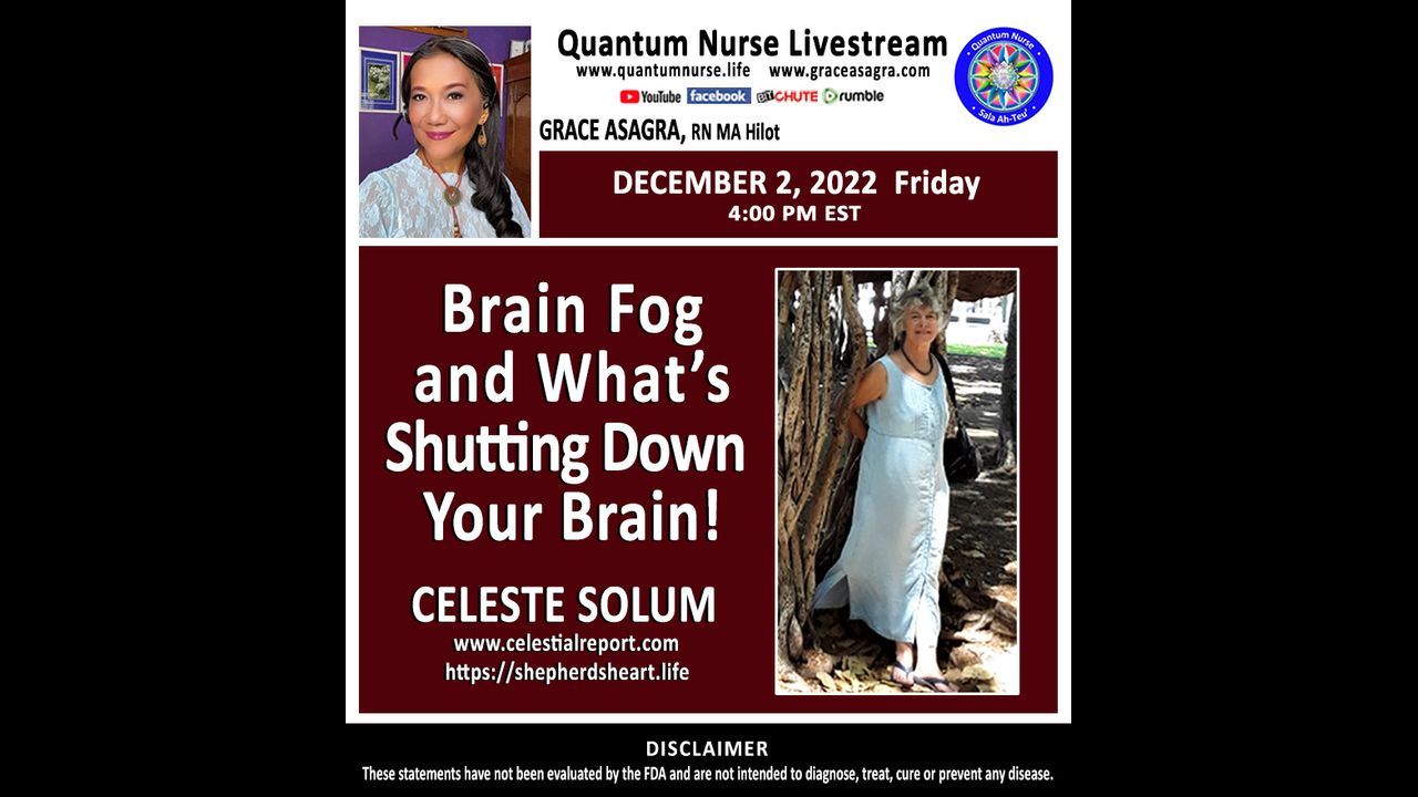Celeste Solum - "Brain Fog and What's Shutting Down Your Brain ...