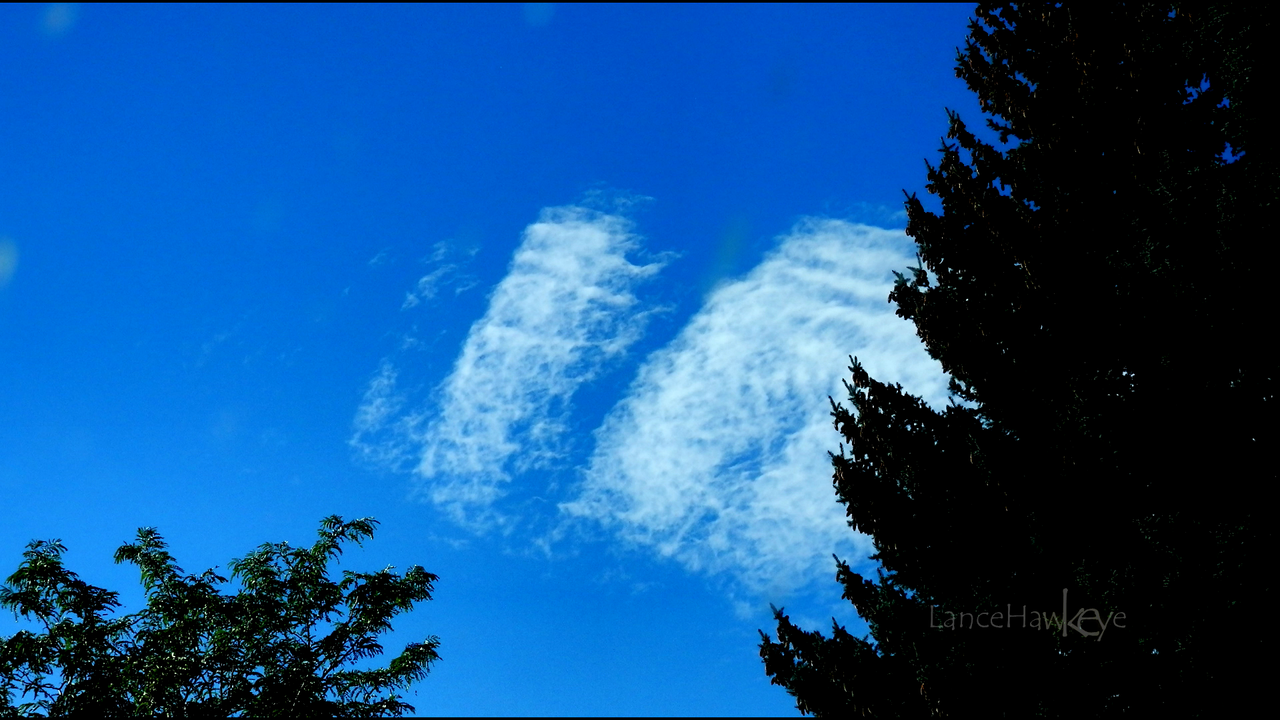 Crazy Cloud Cam | Image Set 018 | Round And Fluffy - Brighteon.com