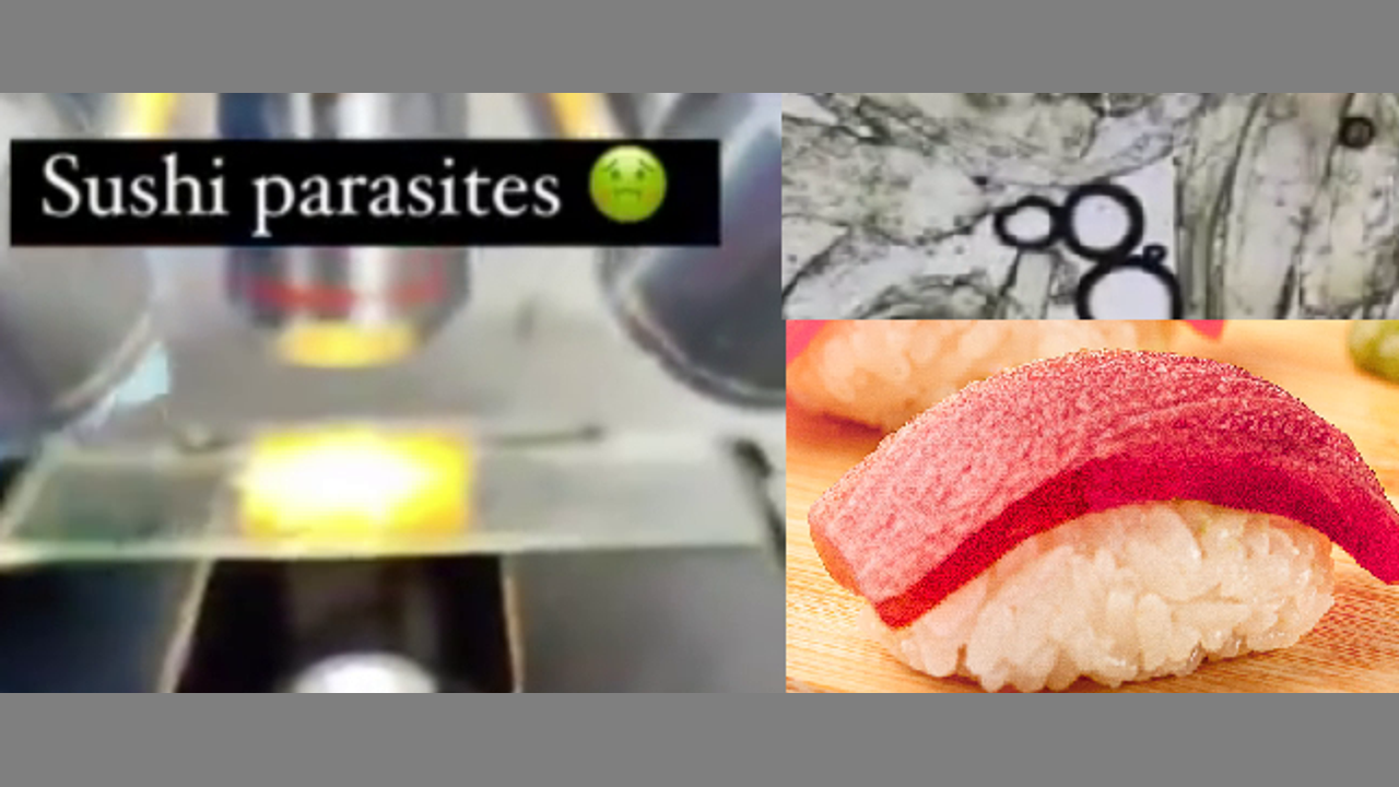 Rotten Tuna Turned into Fresh Tuna then Sold as Sushi - Brighteon .com