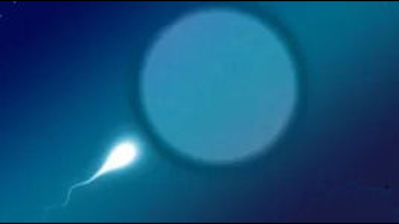 WANT to SEE The BIBLE CODE Completely Cracked?? TO Descend the Bringer Of LIGHT- WASTED His ...