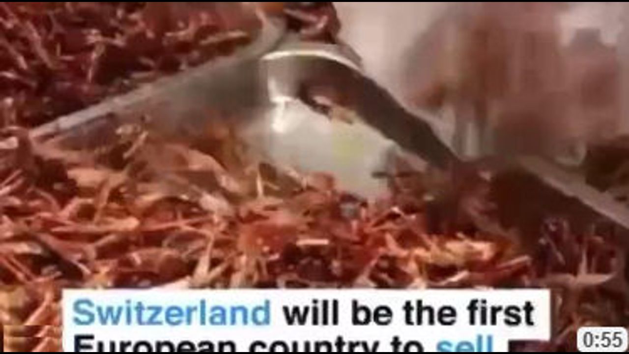 WEF WANT YOU TO BELIEVE YOU WILL BE SAVING THE PLANET IF YOU EAT ZEE ...