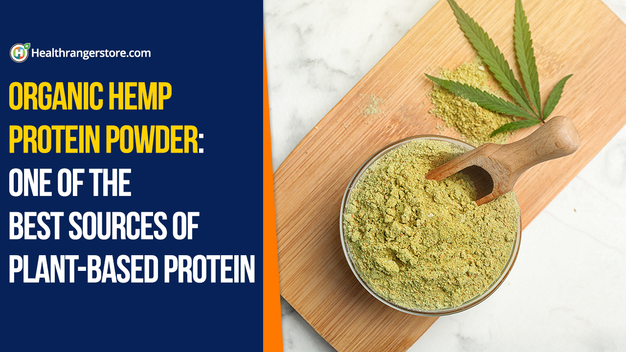 Organic Hemp Protein Powder: One of the best sources of plant-based ...
