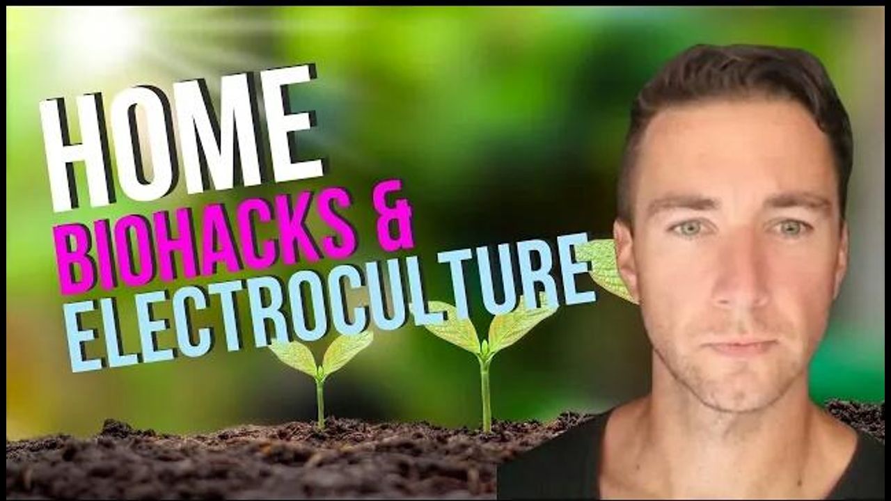 Catherine Edwards: Matt Roeske - Electroculture, Home & Body Biohacks ...