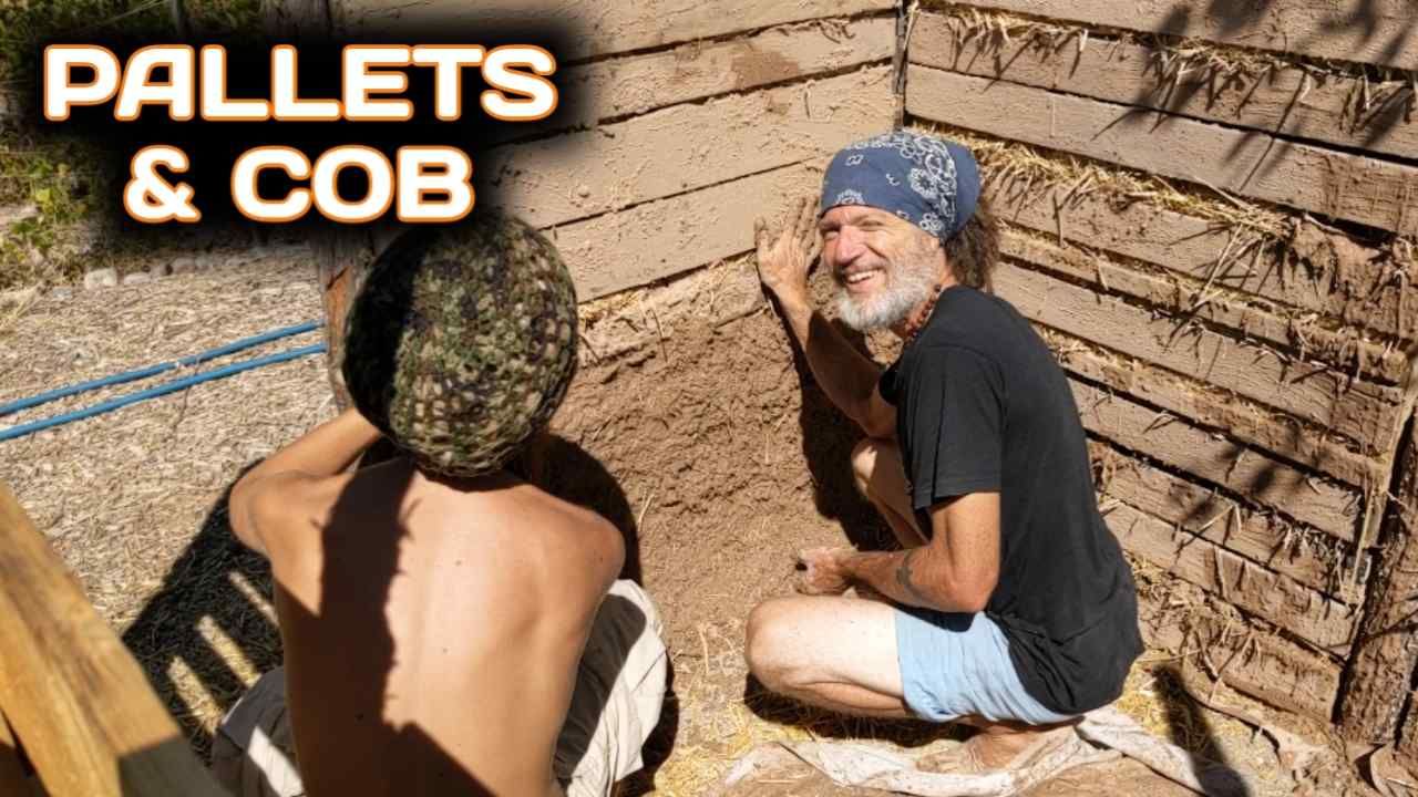 Pallets and Cob - Brighteon .com