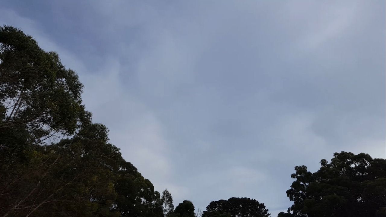 ENTERING DAY 3 OF THE PLANNED HEATWAVE - IT'S EARLY & STILL A BIT COOL ...