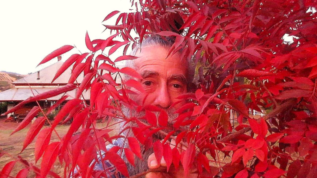 LEAVING HAPPY: Autumn display delights me, Balingup, South Western ...