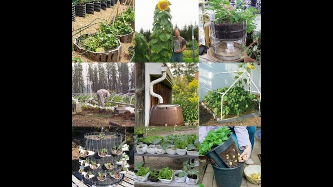 100+ Projects To Become Self Sufficient Backyard - Brighteon.com