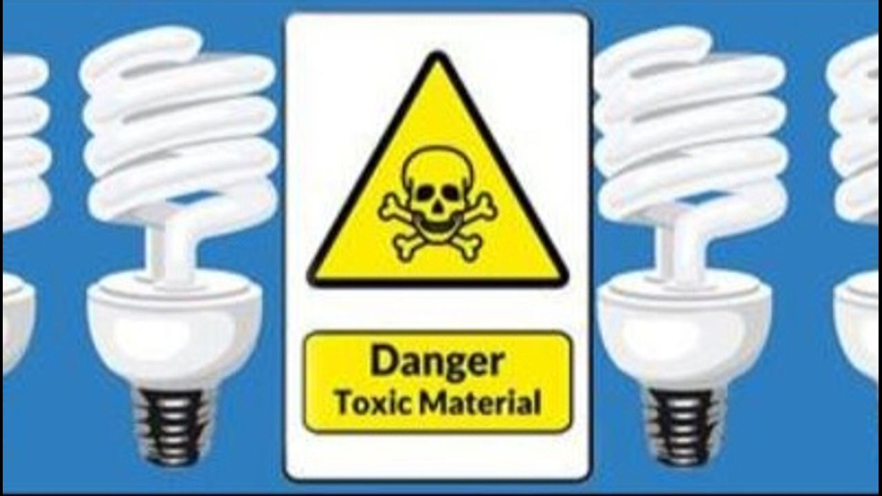Toxic Light - The Dark Side of Energy Saving Light Bulbs by Alexandra ...