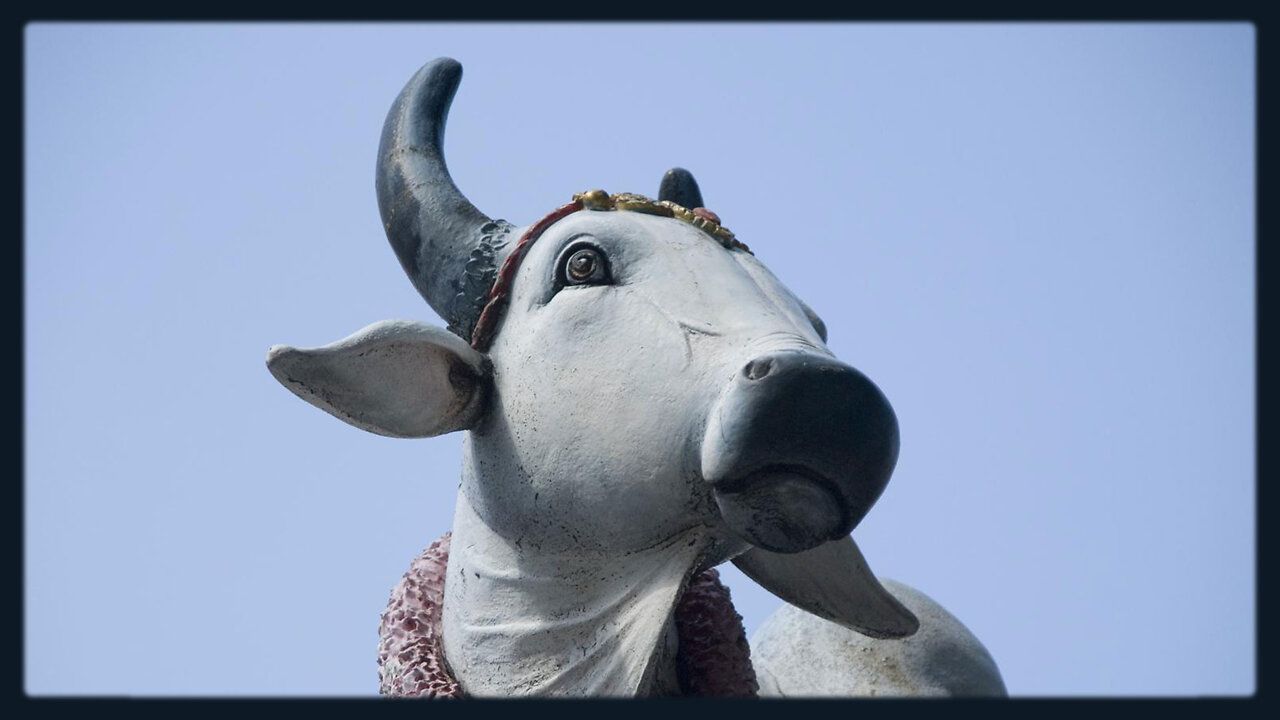 Sacred Cows and the Dangers of Eating Bugs - Brighteon.com