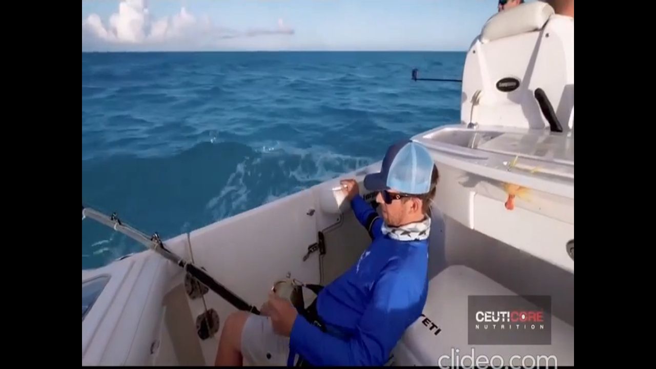 Sharks - Shark Fishing Clips - Brighteon.com