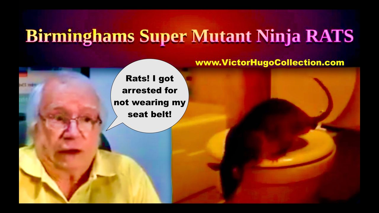 UK Releases Man Made Plague Of Super Mutant Ninja Rats To Depopulate ...