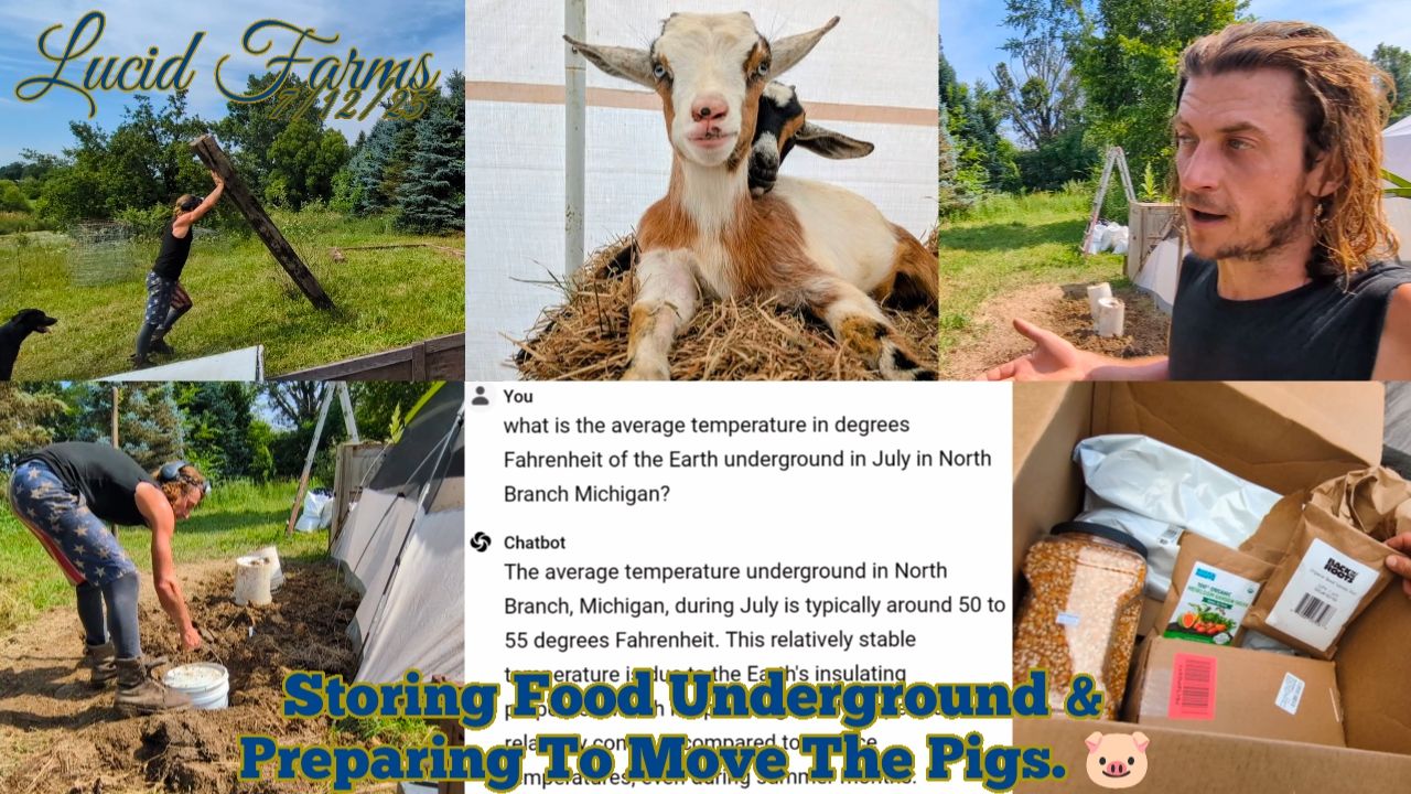 Storing Food Underground & Preparing To Move The Pigs. 🐷 7/12/25 Lucid Farms. - Brighteon .com