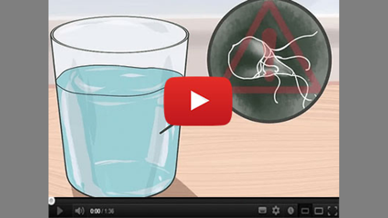 Harvard Prostate Study, Do You See This In Your Water (You Risk ...
