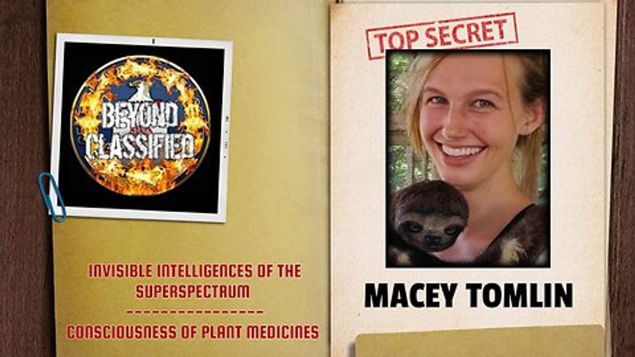 Chris Mathieu: Macey Tomlin - Invisible Intelligences of the ...