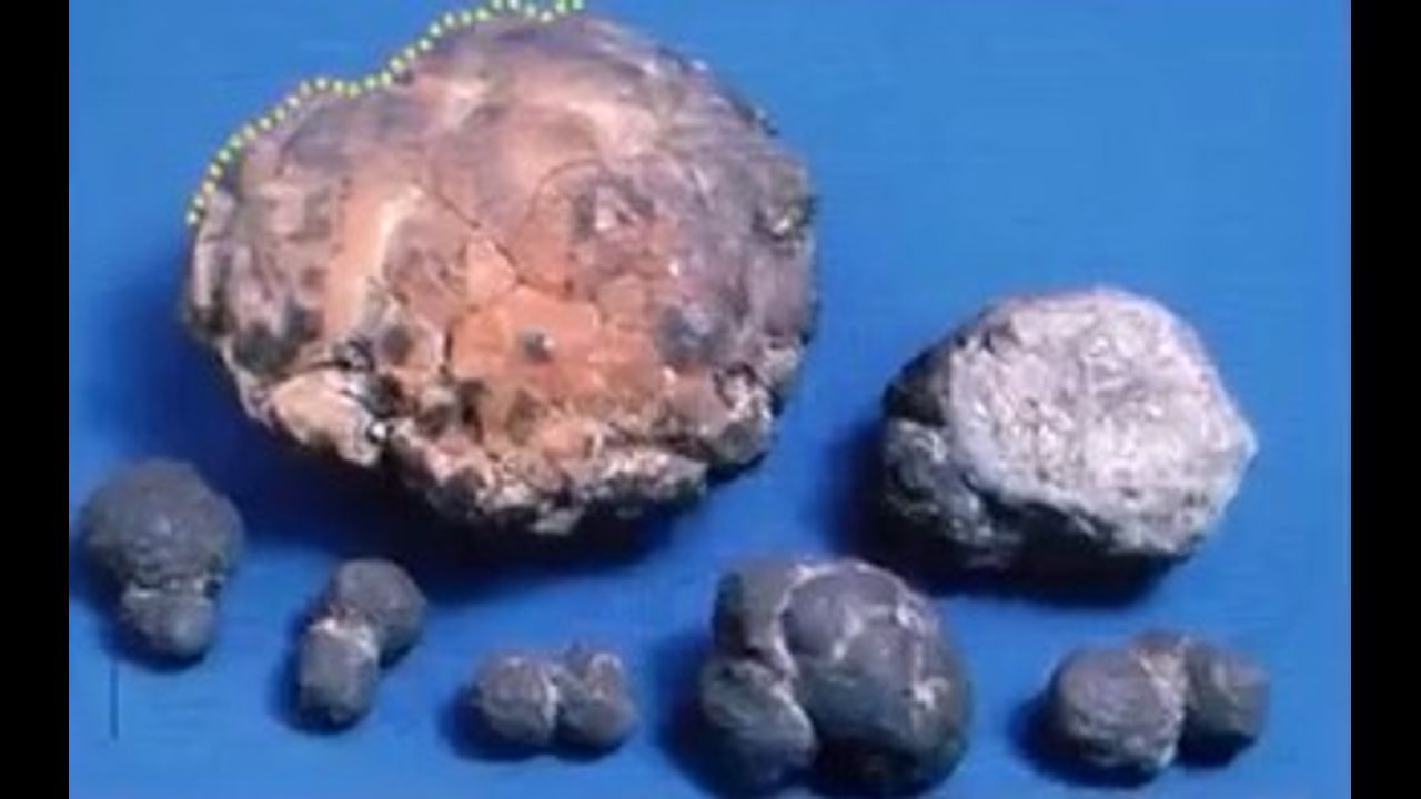 🚨These Rare-Earth Rich Rocks on the Ocean Floor Could Upend Global ...