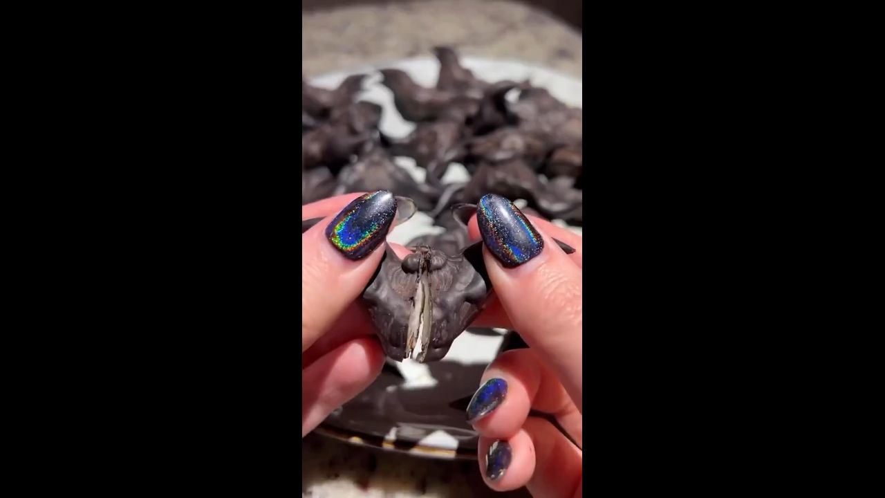 Trapa Bicomis Seed Pods Look Like A Devil's Head And Are Made To Be ...