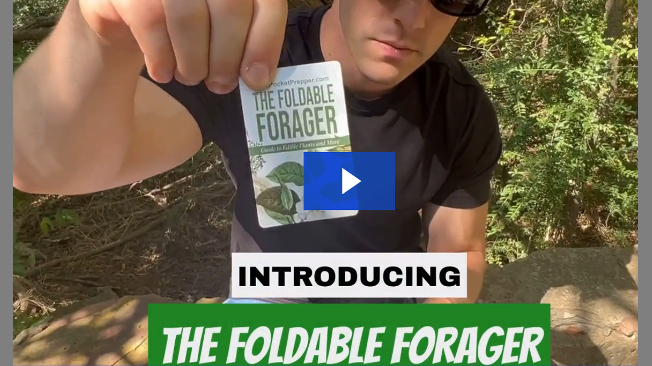 The Foldable Forager - Your Pocket Sized Survival Foraging Book ...