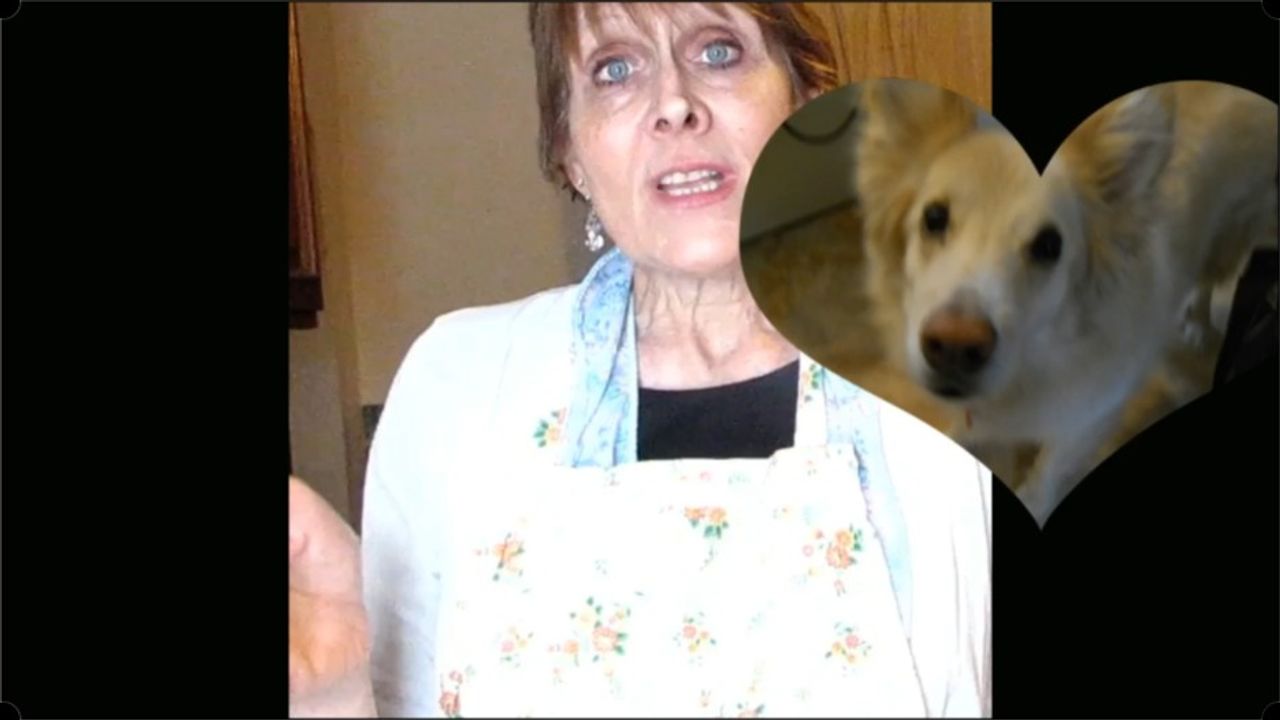 Nancy Gurish from YT - MMS DMSO Basal Cell Tumor Dog - Brighteon .com