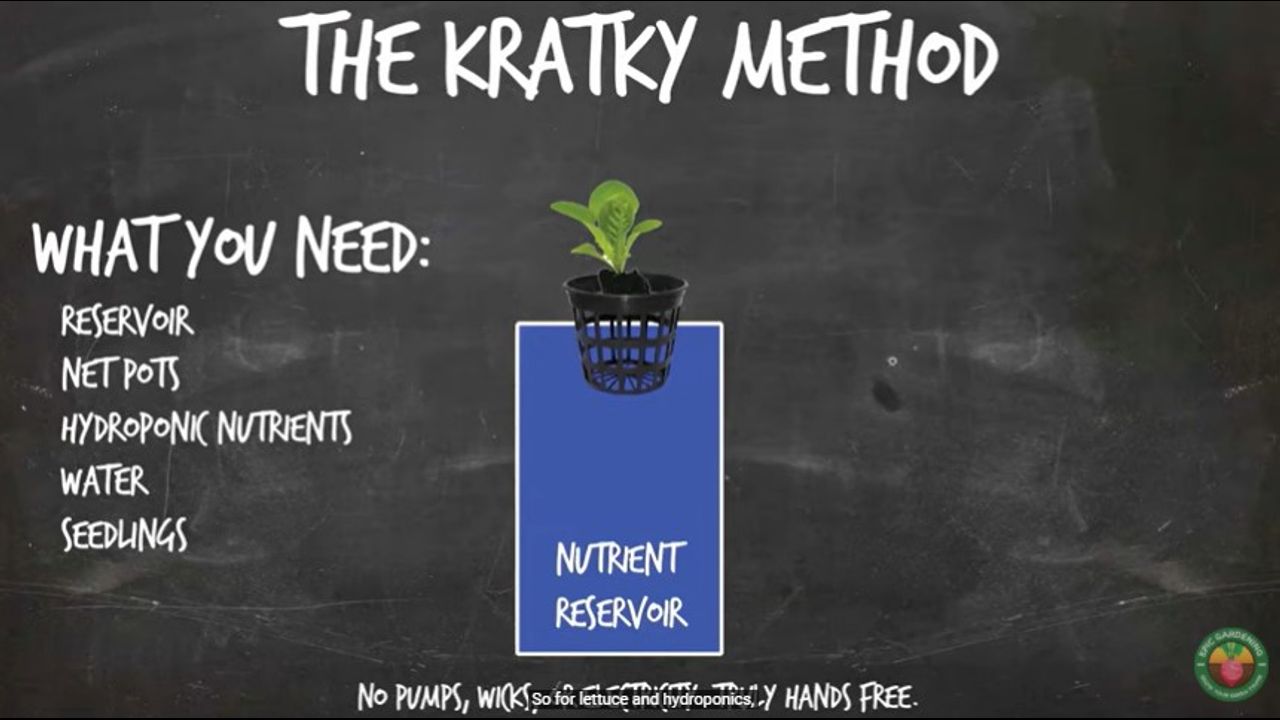 How to Set Up The Kratky Hydroponics Method (Tutorial) - Brighteon.com