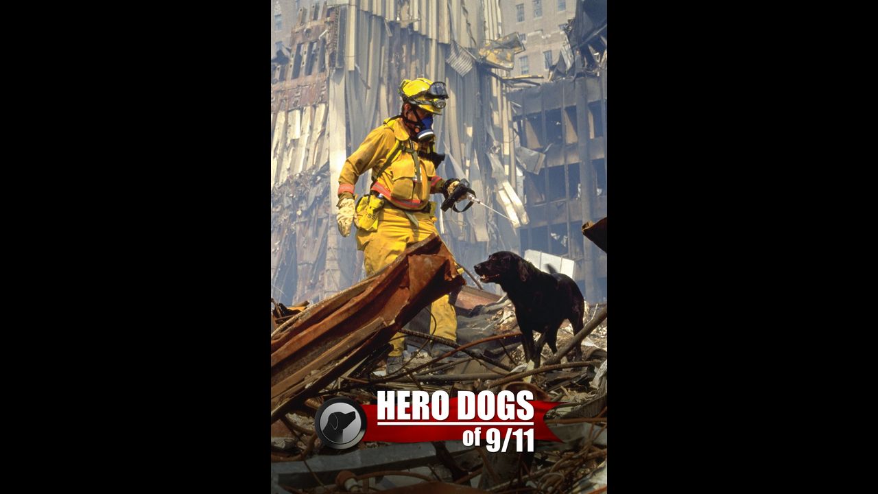 Hero Dogs of 9/11 [2011] - Brighteon.com