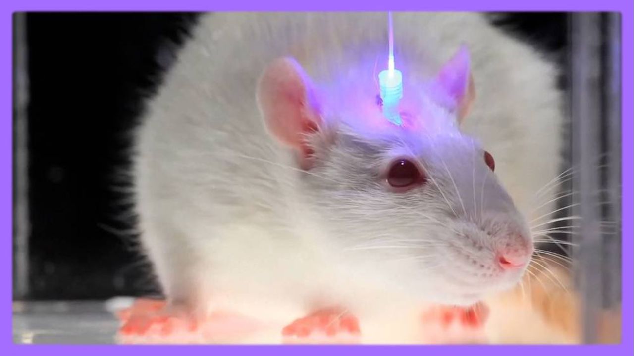 Optogenetics and the Secret Worldwide Nanotech Experiment - Brighteon.com